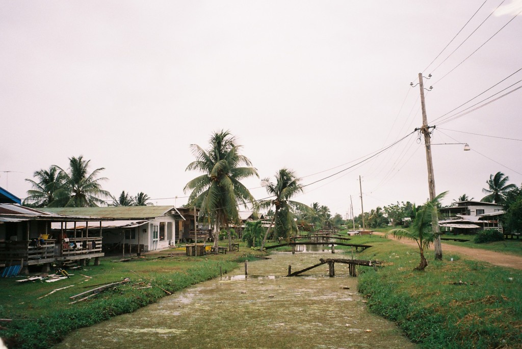 De geschiedenis van Suriname – Groenroodwit