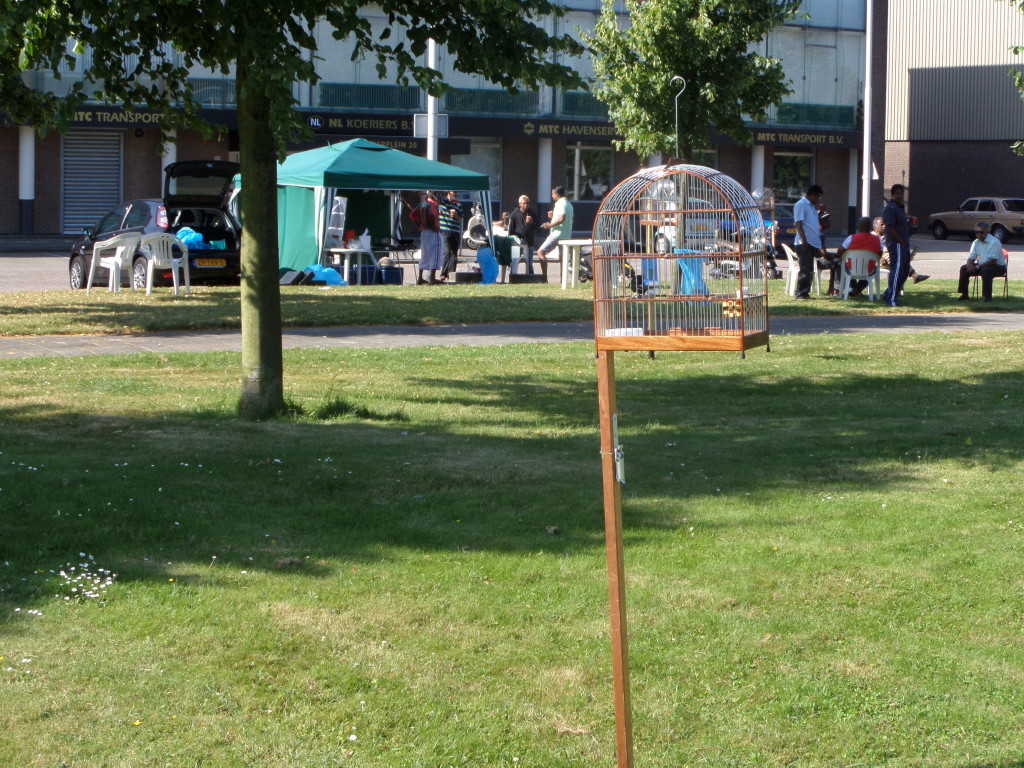 Twa Twa, Picolet en broodje pom – Groenroodwit