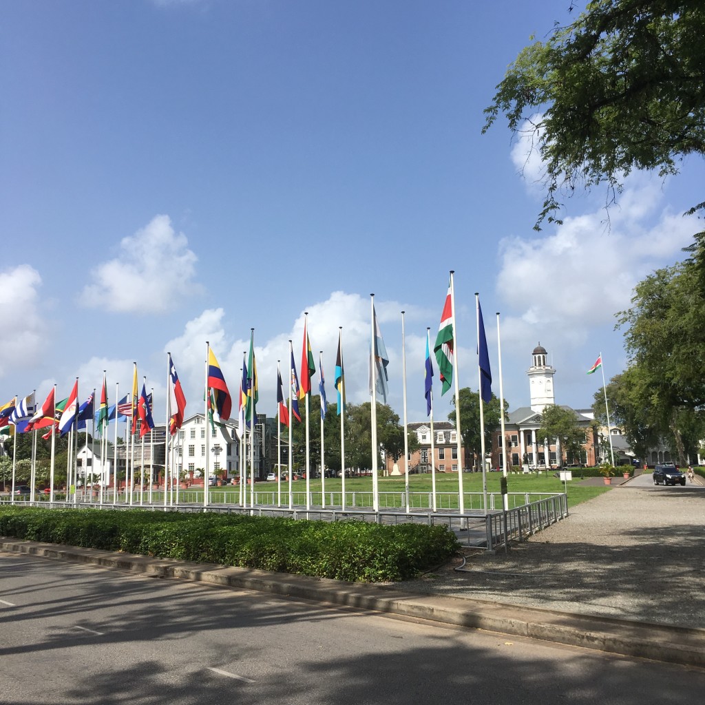 Torarica Resort weer open – Groenroodwit