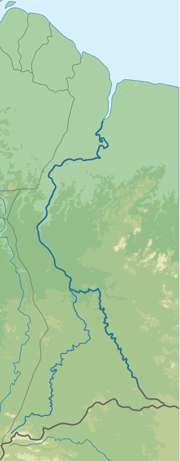 Brug tussen Suriname en (Brits) Guyana in 2025 klaar!?! – Groenroodwit