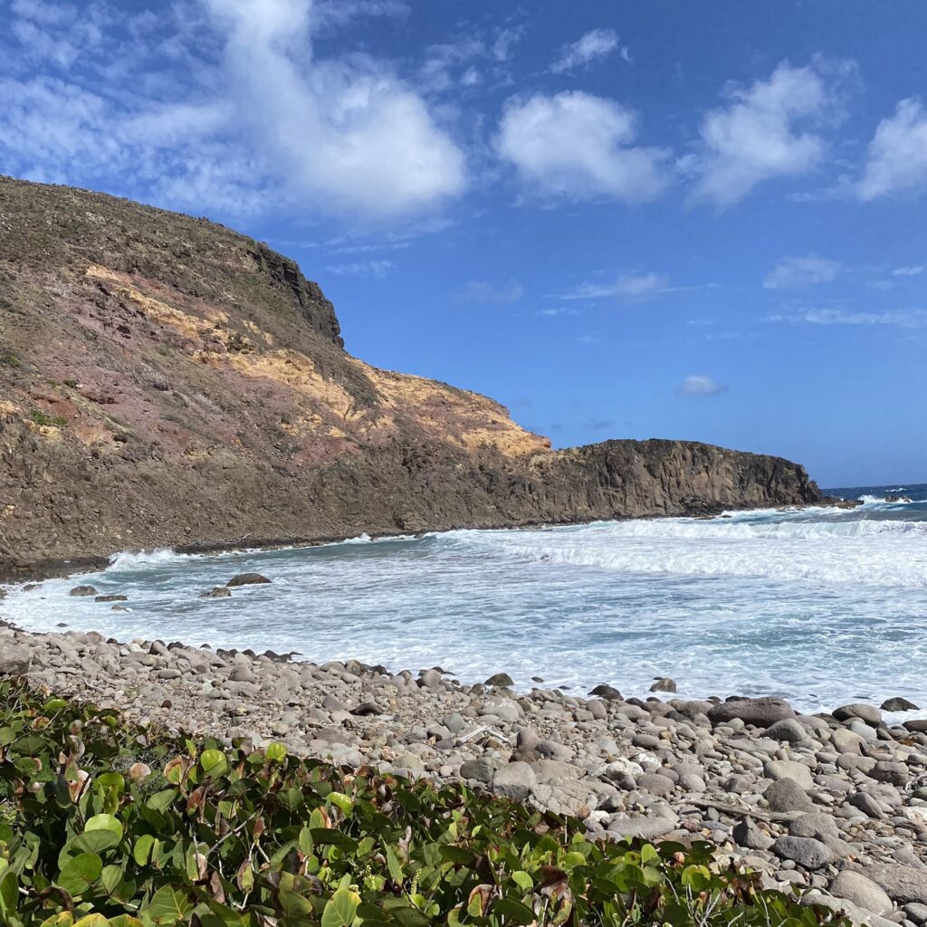 Wereld Natuur Fonds lanceert speciale website over Bonaire, Sint ...